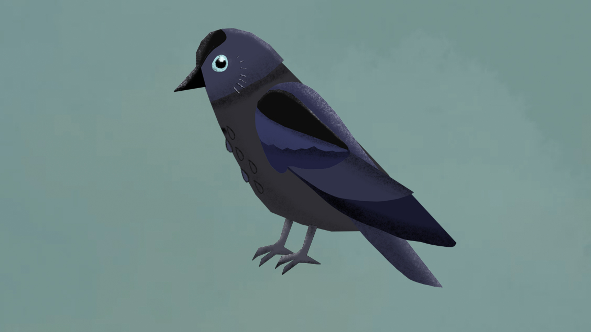 Kauw - Expeditie 10 - BNNVARA